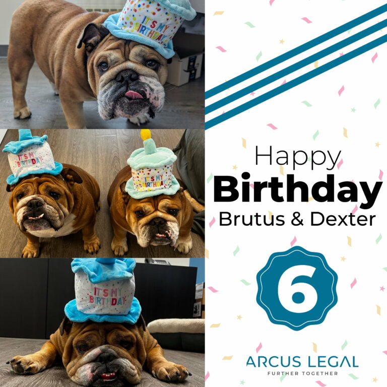 Arcus Legal wishes Brutus & Dexter Happy Birthday! - Arcus Legal
