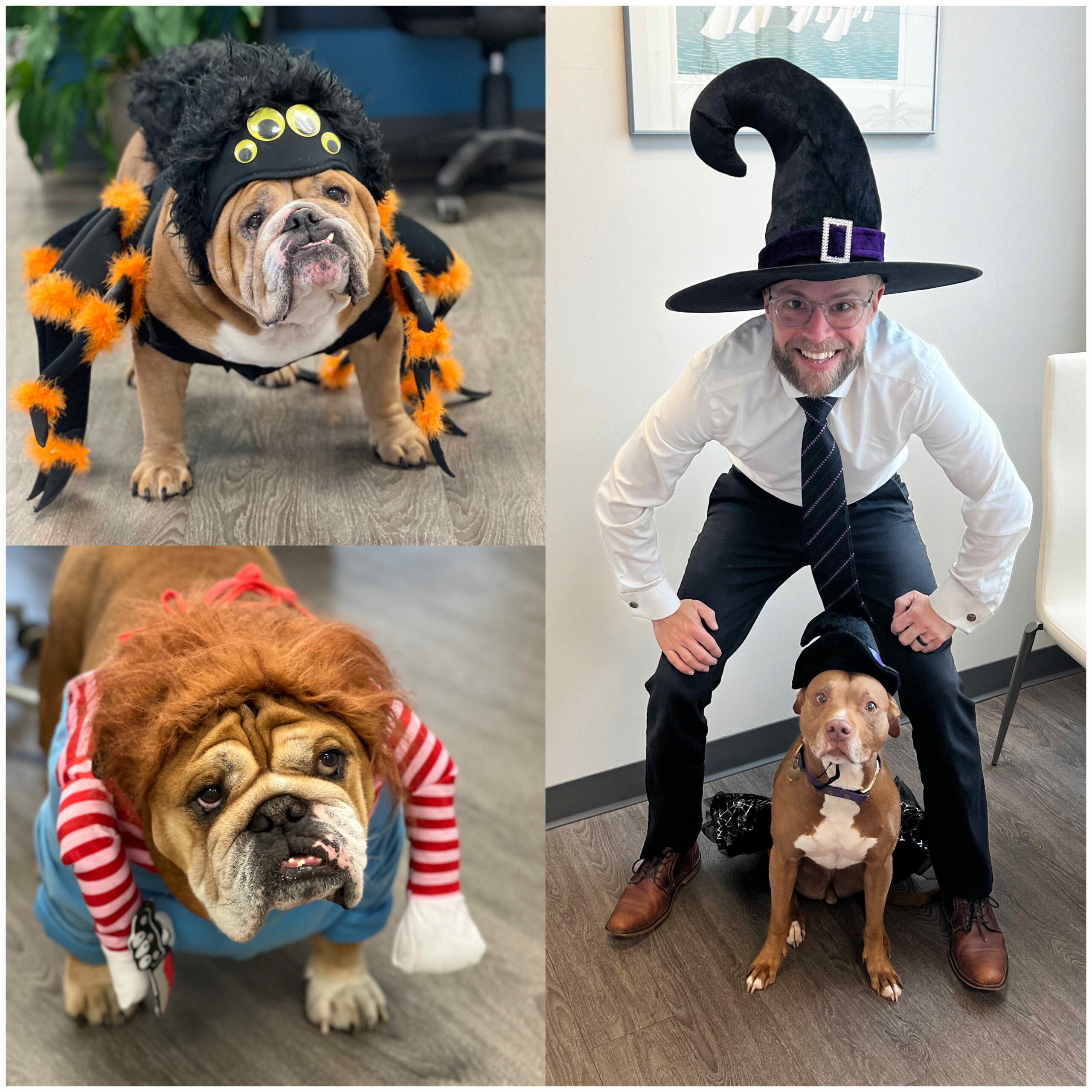 Happy Halloween! - Arcus Legal